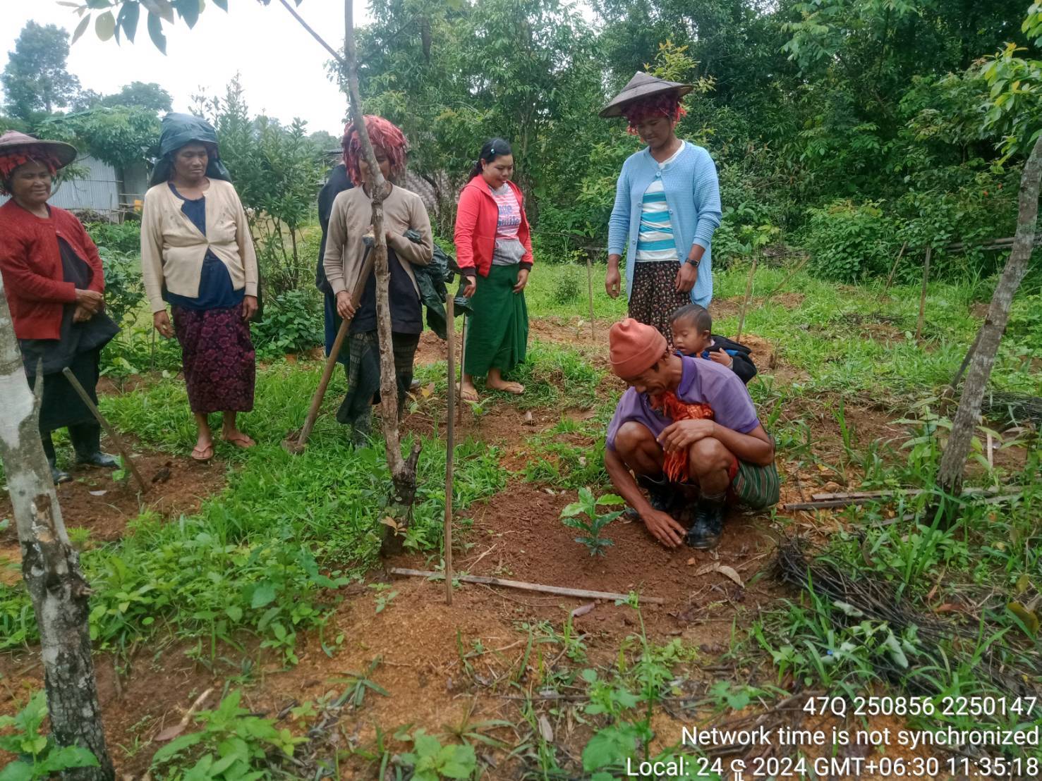 Coffee Expansion – Mae Fah Luang Foundation